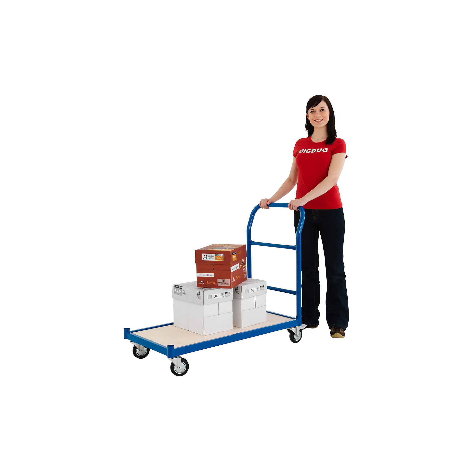 BiGDUG Essentials 250kg Platform Truck | BiGDUG