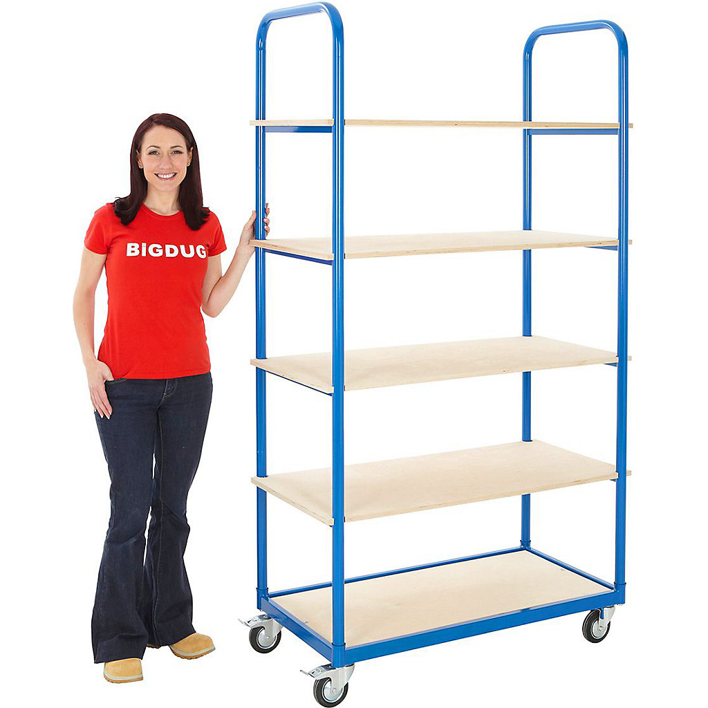 Shelf Trolleys | Heavy-Duty Shelf Trolley | BiGDUG