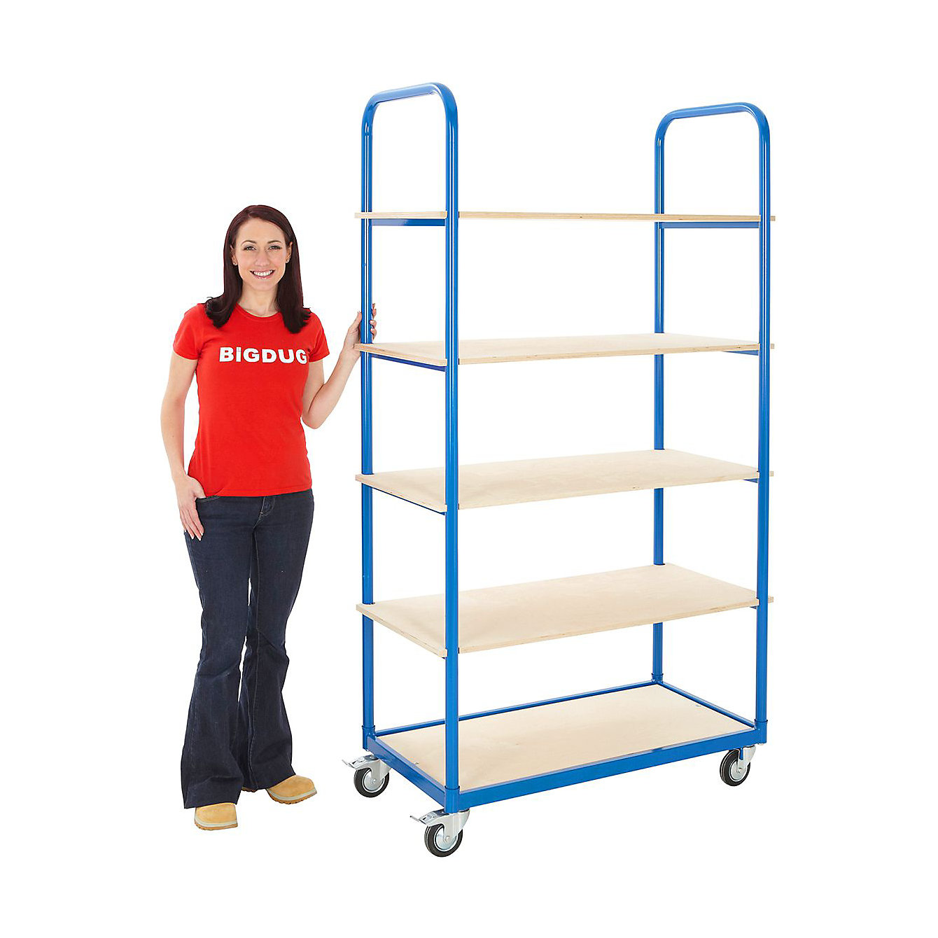Shelf Trolleys | Heavy-Duty Shelf Trolley | BiGDUG