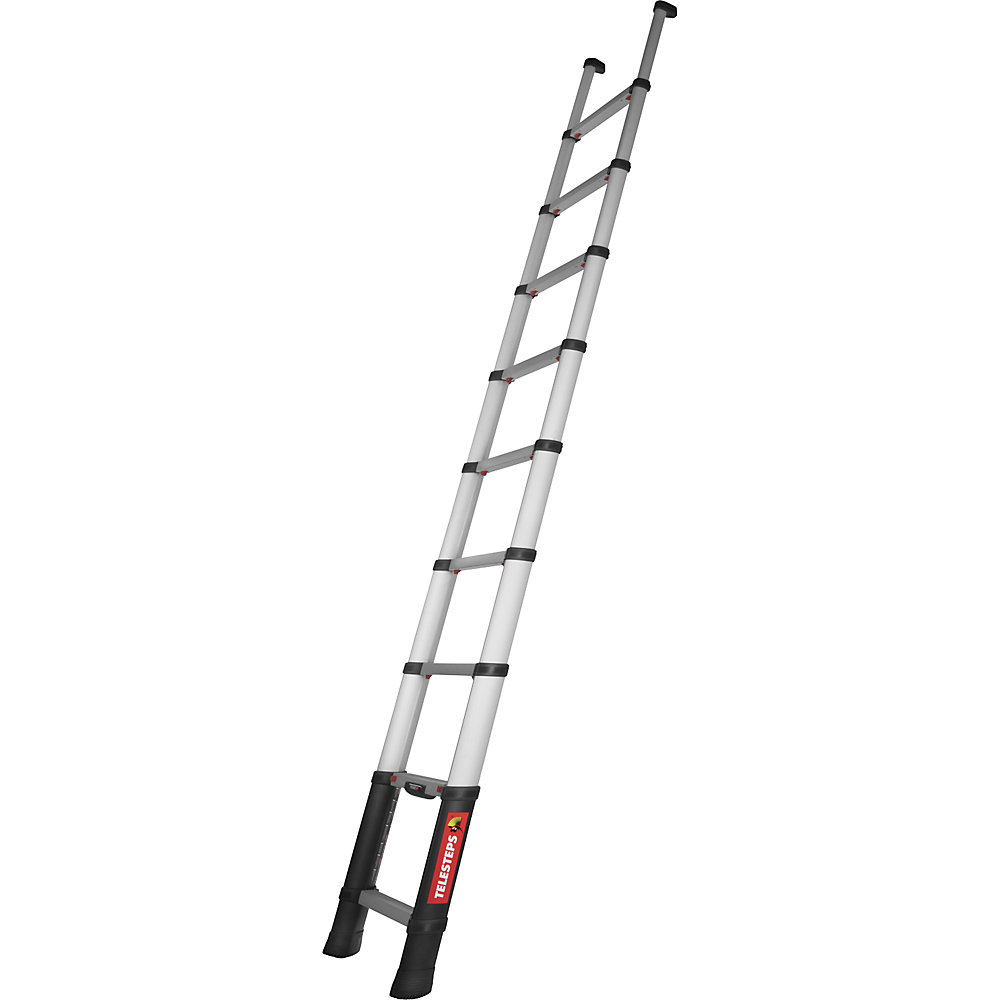 Guenzburger – Lean to ladder with steps: professional version, width ...
