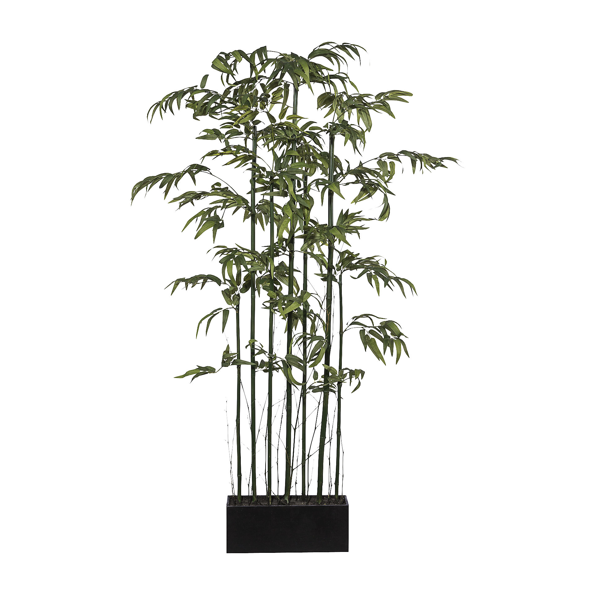 Bamboo partition: with natural stalk and in a wooden box | kaiserkraft