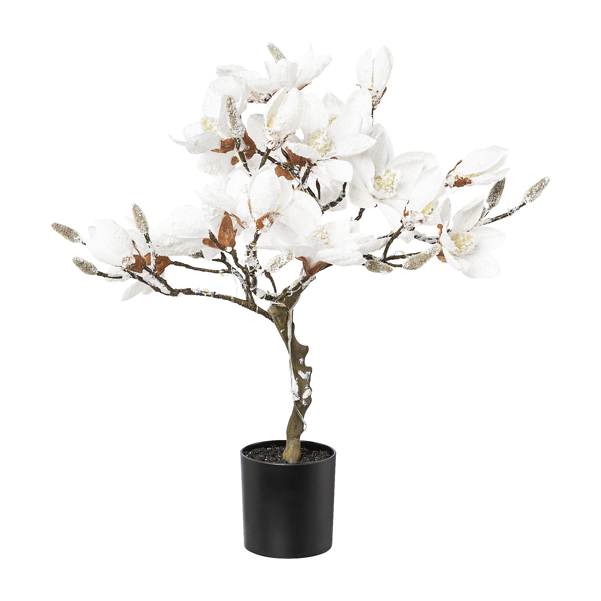 LED magnolia tree, snow covered: in a plastic pot, white | kaiserkraft