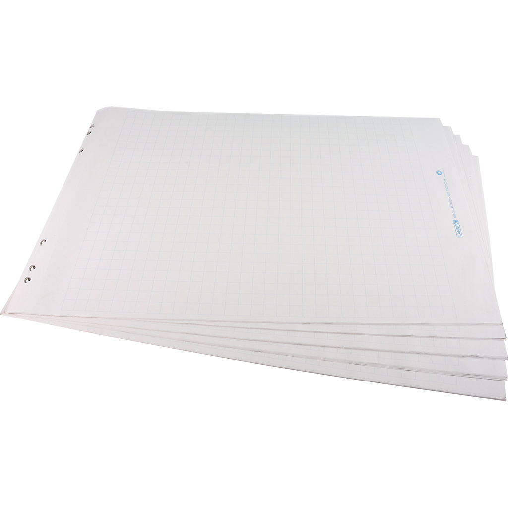 Flipchart paper Eco: checked, pack of 5 | kaiserkraft
