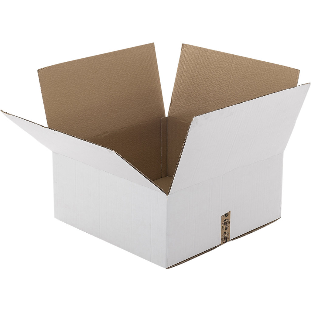 Double Wall White Shipping Boxes Pack 10 | 254l x 203w x 152h mm | Fits ...