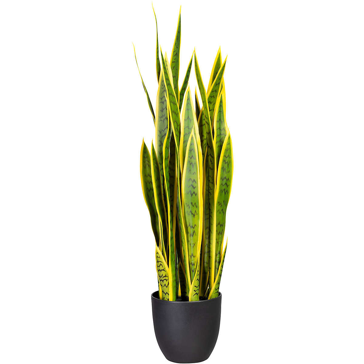 Sanseveria, green-yellow: height approx. 900 mm | KAISER+KRAFT Sanseveria, green-yellow: height approx. 900 mm | KAISER+KRAFT