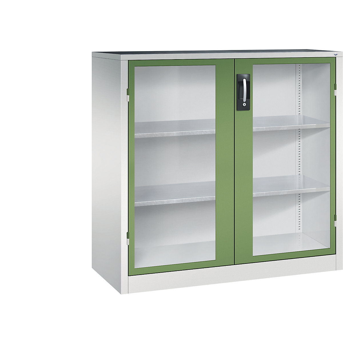 Vision panel double door cupboard – C+P: HxWxD 1200 x 1200 x 500 mm, 2 ...