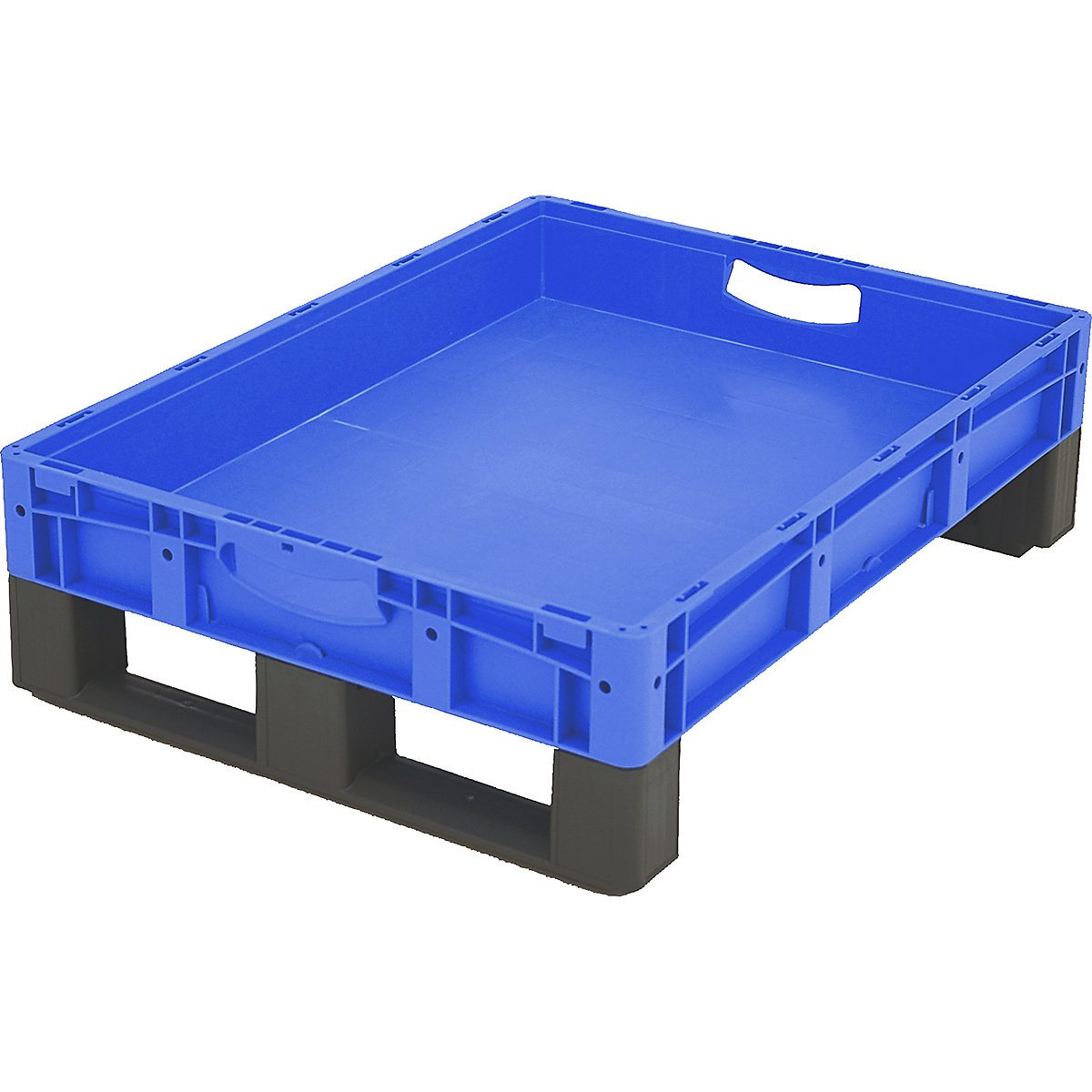 Large Euro Stacking Container with Pallet Skids | Storage Boxes ...
