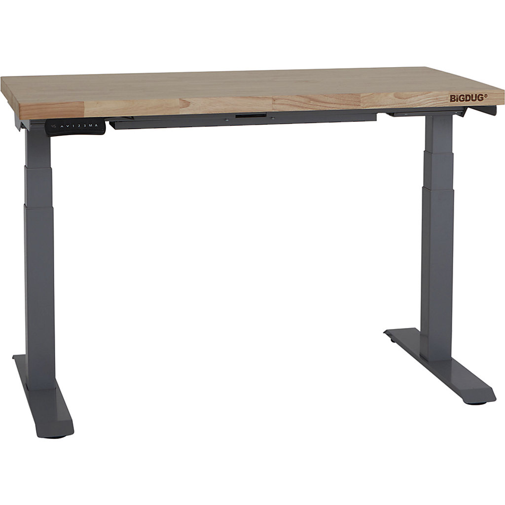 BiGDUG Electric Height Adjustable Workbench | BiGDUG