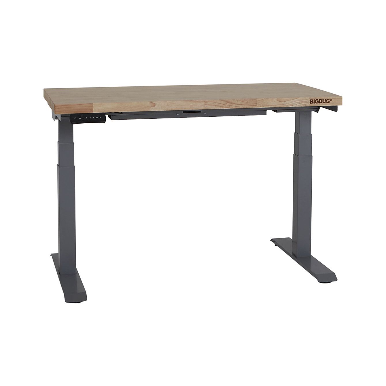 BiGDUG Electric Height Adjustable Workbench | BiGDUG