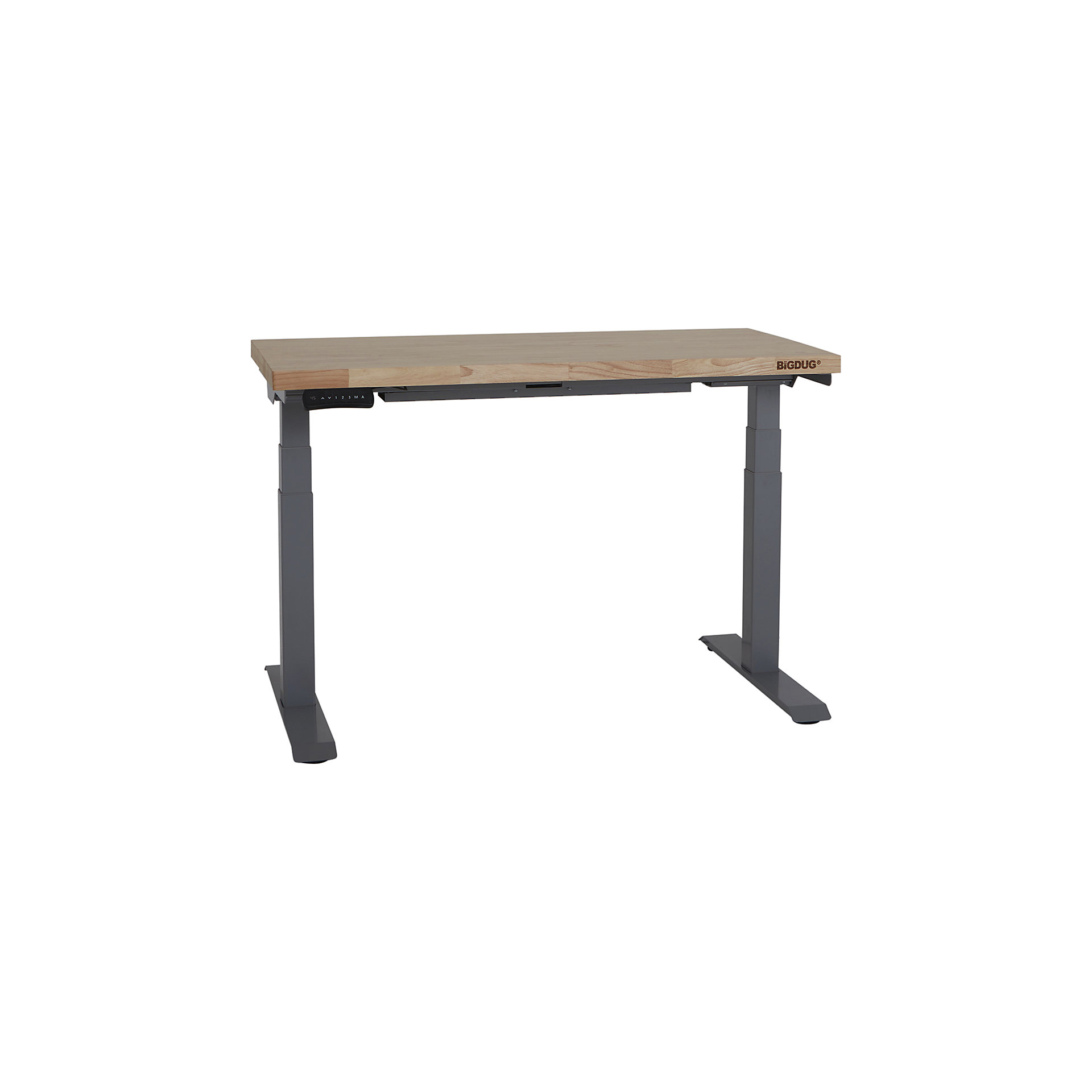 BiGDUG Electric Height Adjustable Workbench | BiGDUG