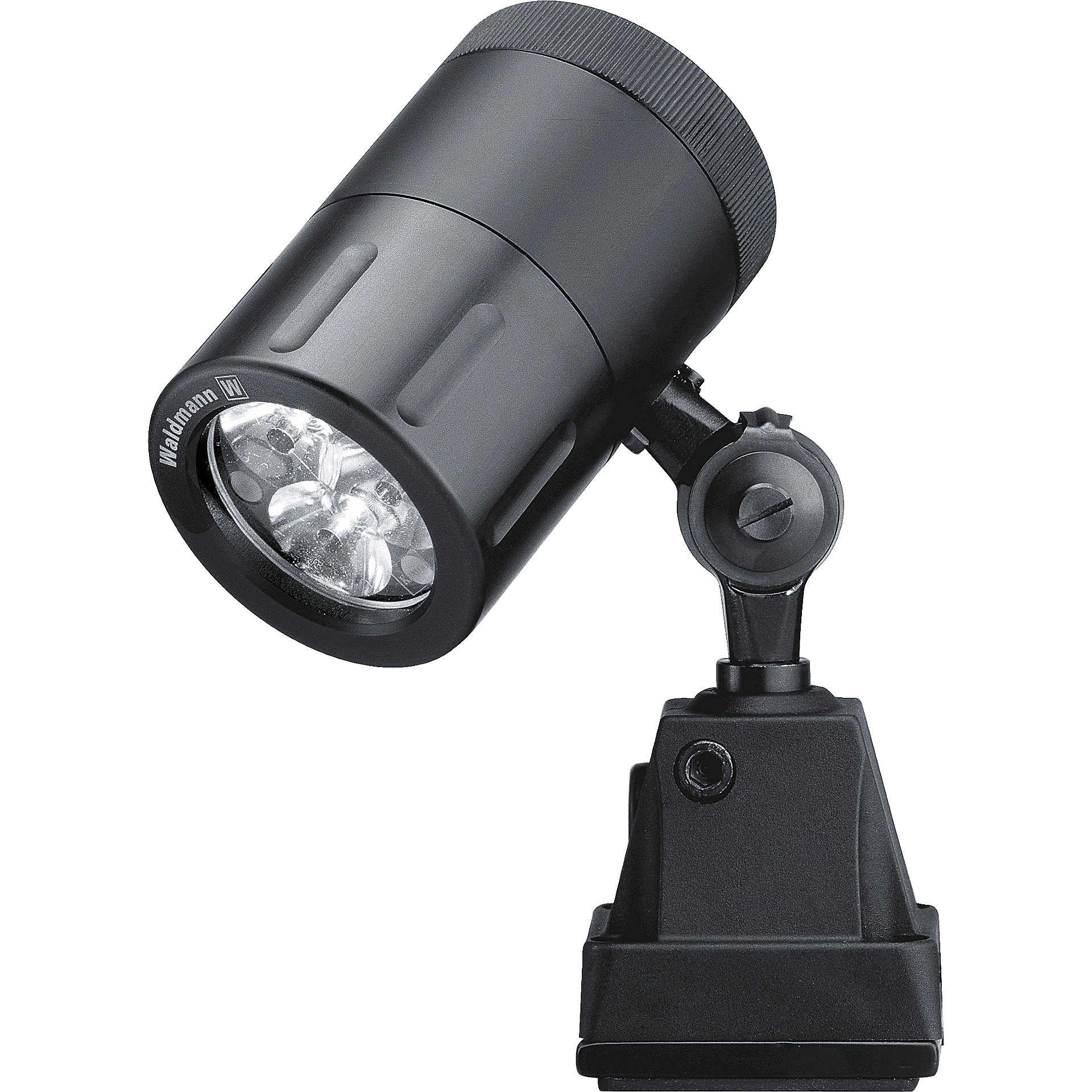 Machine lamp, 24 V – Waldmann: anodised aluminium, black | kaiserkraft